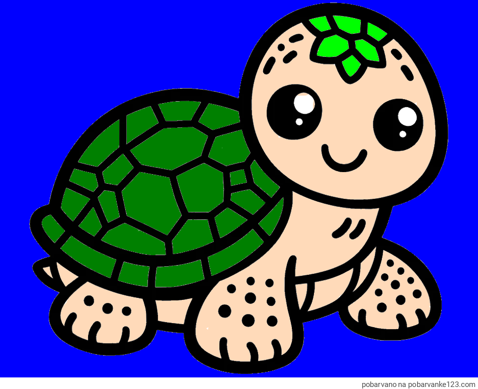 POBARVANA pobarvanka - Otroška pobarvanka želve (tiago, 7 let)