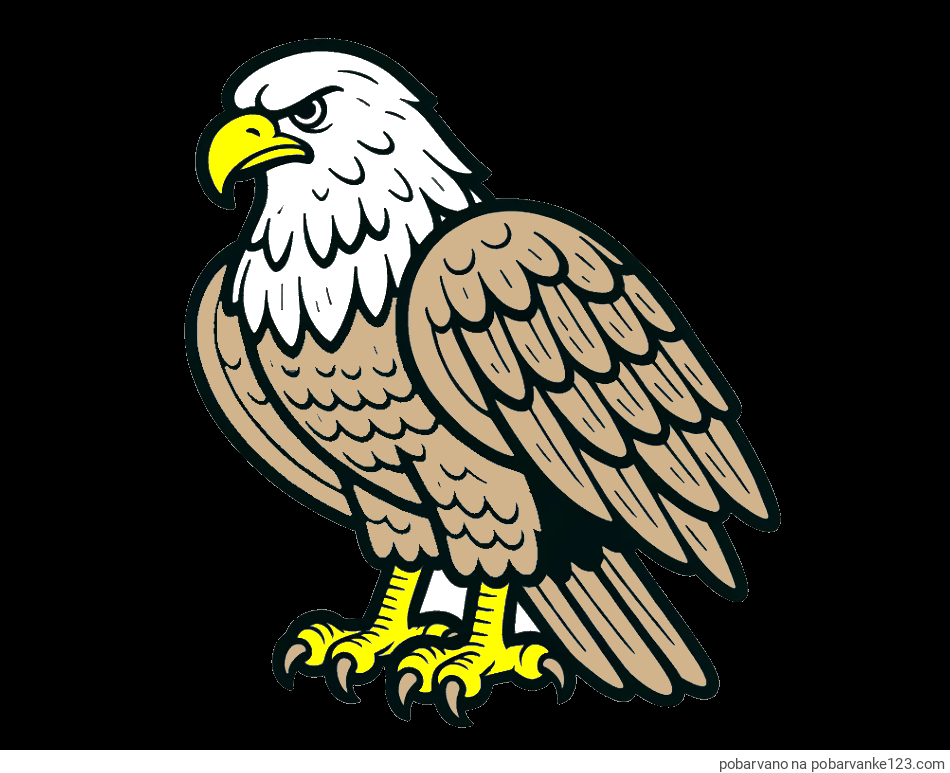 POBARVANA pobarvanka - Pobarvanka orla (eva kokalj, 10 let)