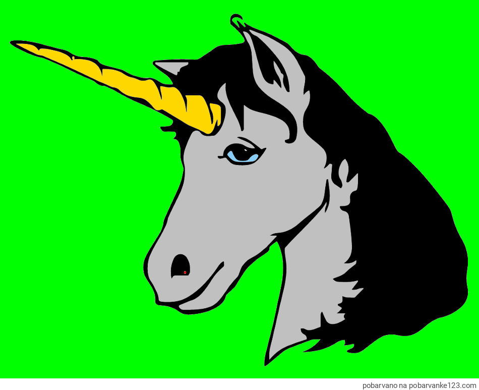 POBARVANA pobarvanka - Pobarvanka samorog (Tara, 10 let)