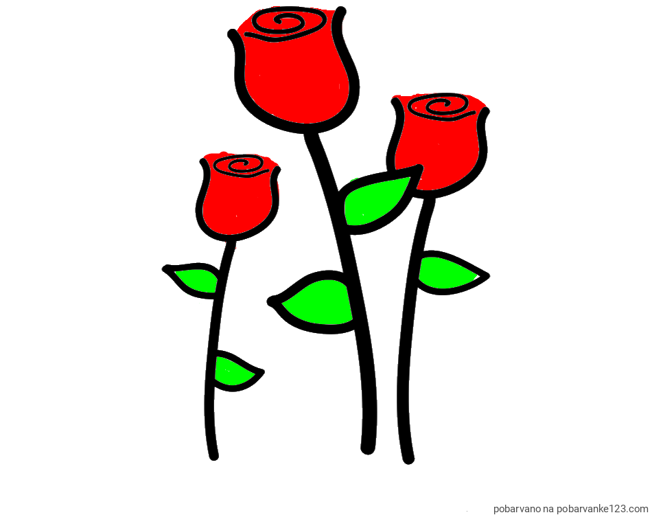 POBARVANA pobarvanka - Pobarvanka treh vrtnic (lara, 10 let)