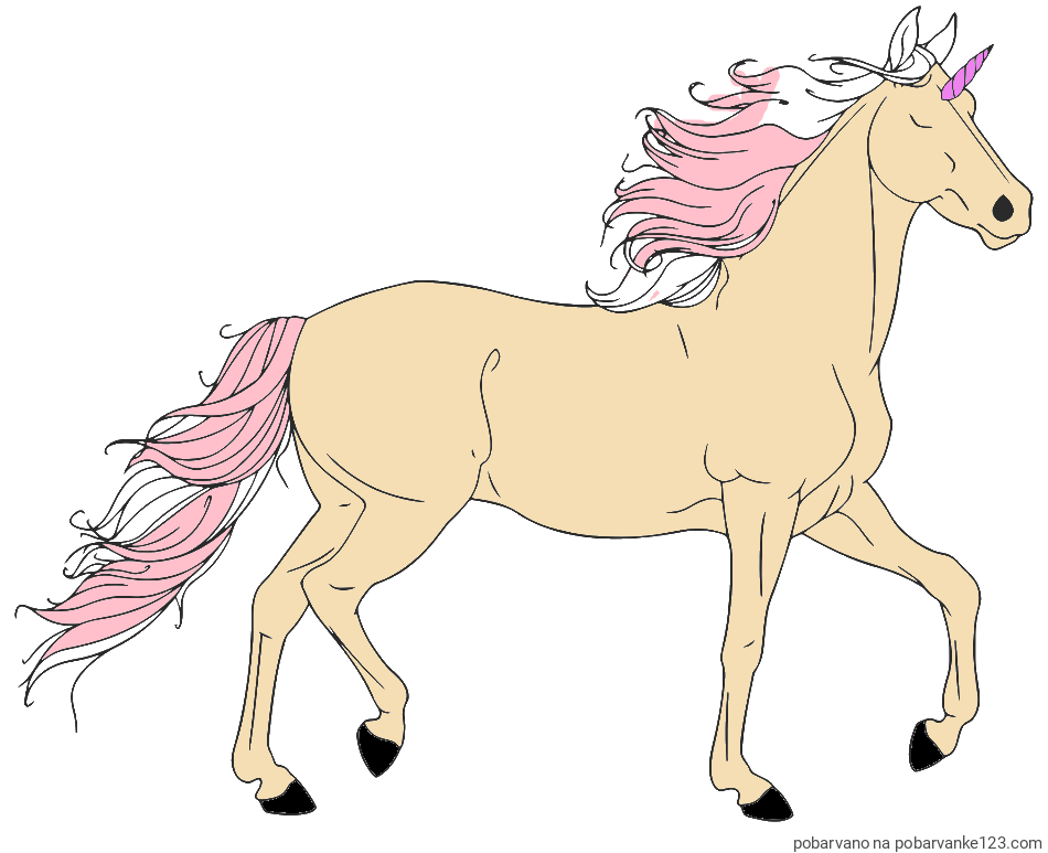 POBARVANA pobarvanka - Samorog (klara, 6 let)