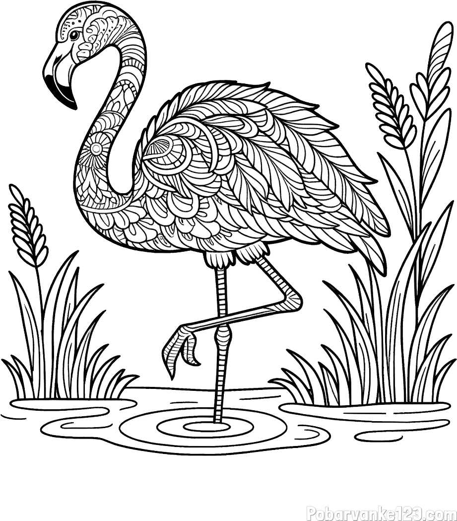 Pobarvanka flaminga z abstraktnimi vzorci