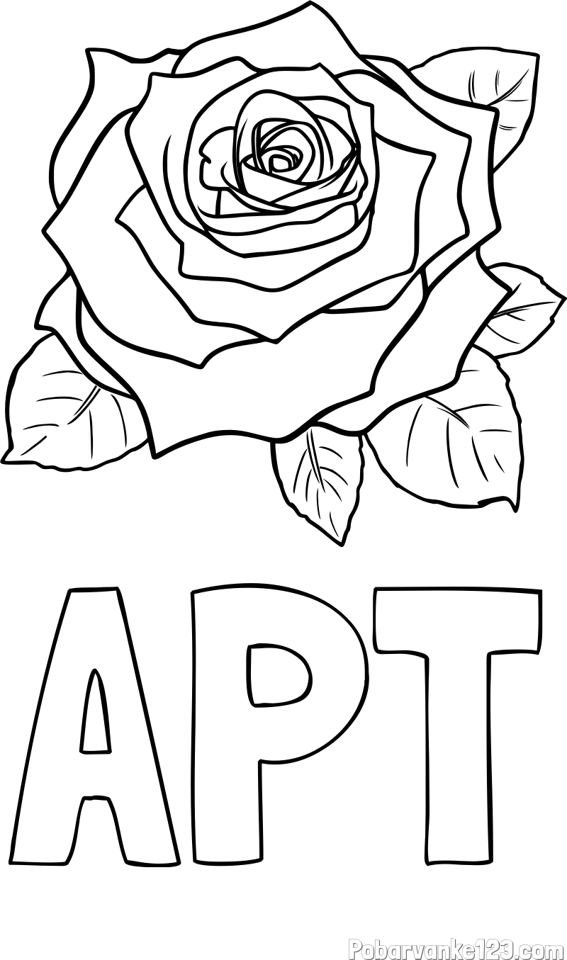 Pobarvanka imena APT in pobarvanka vrtnice