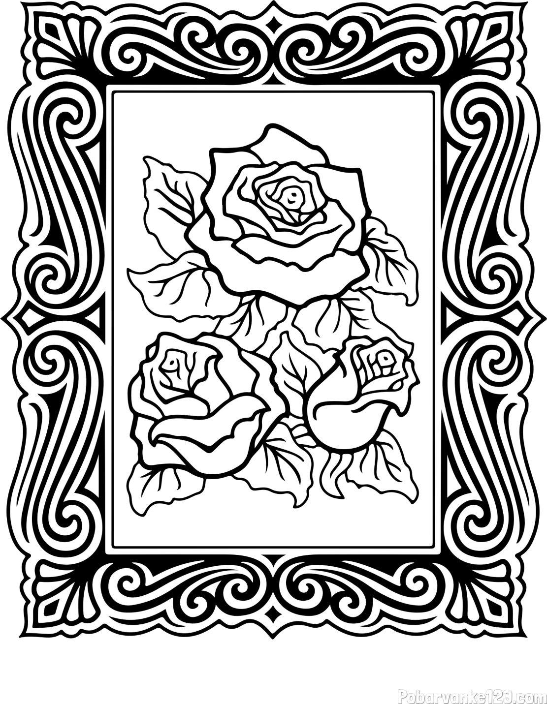 Pobarvanka uokvirjene slike vrtnic