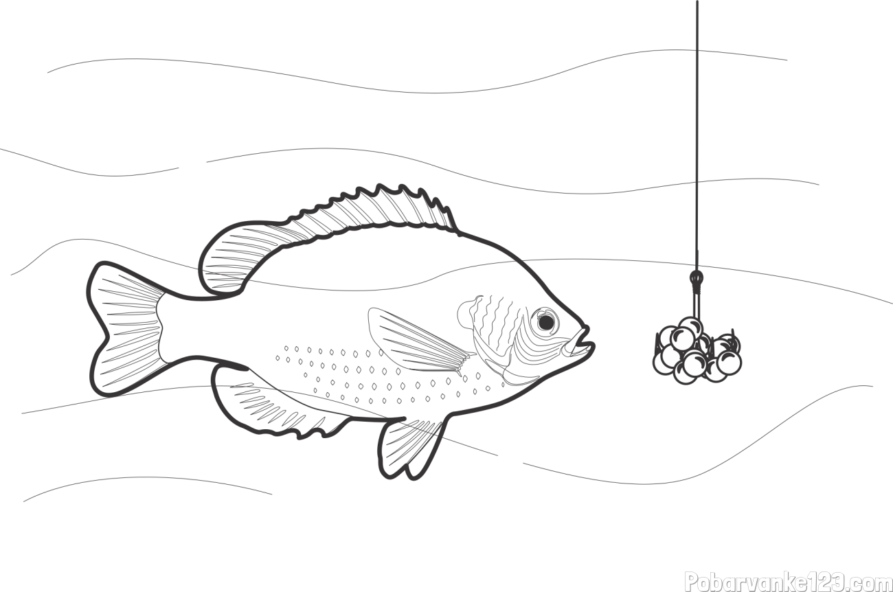 Pobarvanka velike ribe