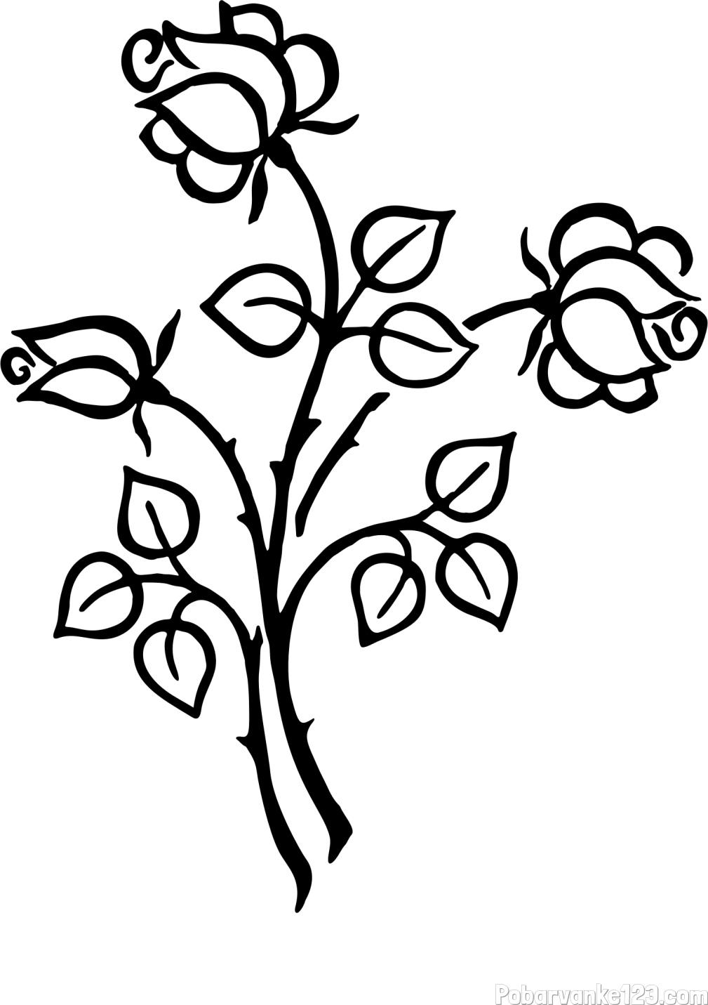 Pobarvanka vrtnic s trnji in listi